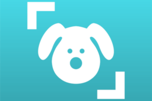 Dog Scanner: Descubra a Raça do Seu Cão com Este Aplicativo Inovador ...